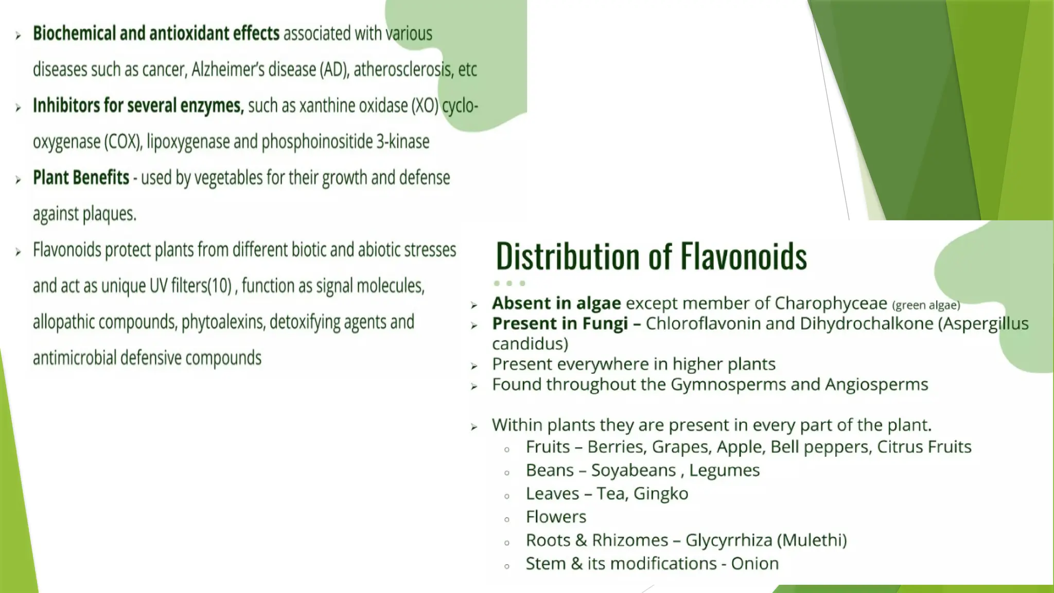 Antioxidants, Flavonoids, Anthocyanins and their Biosynthesis.pptx