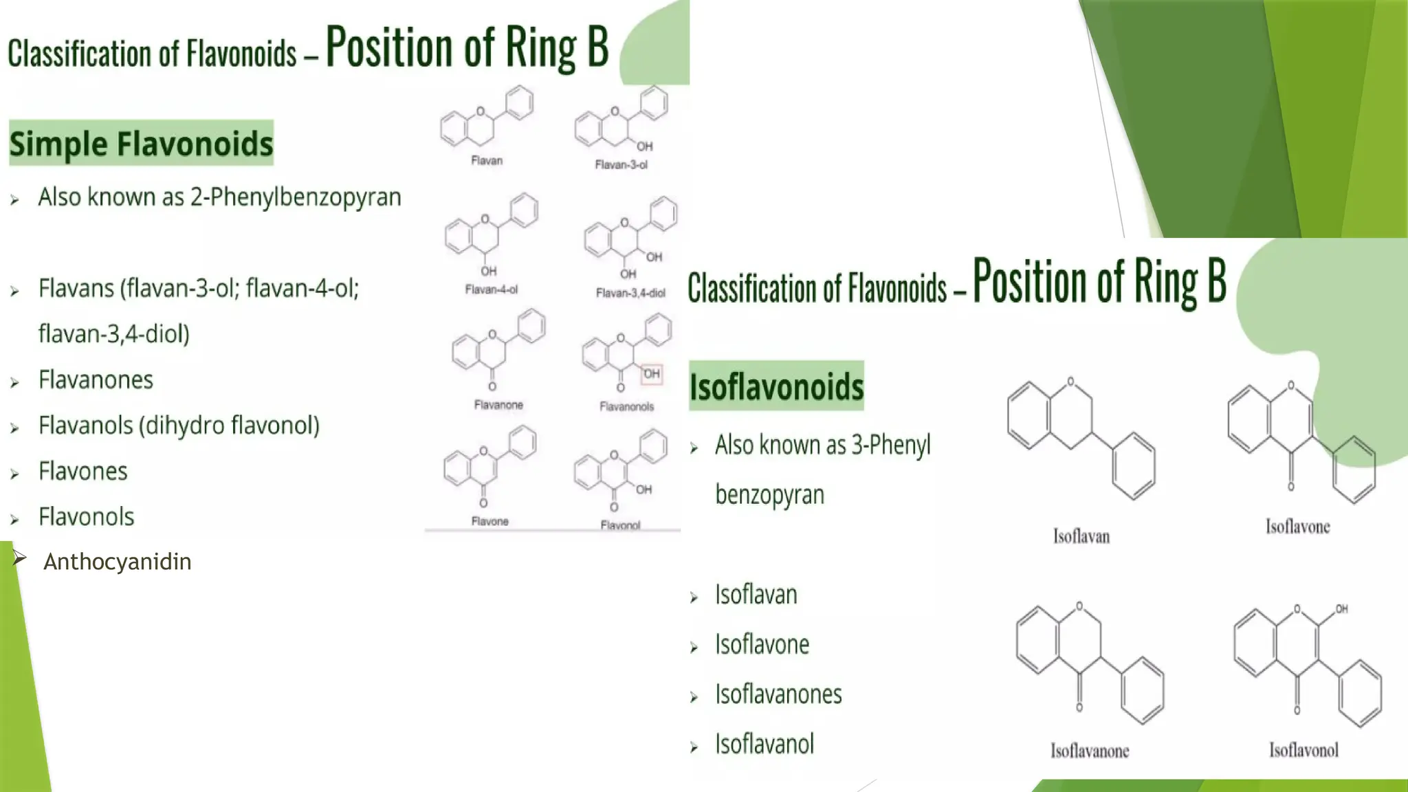 Antioxidants, Flavonoids, Anthocyanins and their Biosynthesis.pptx