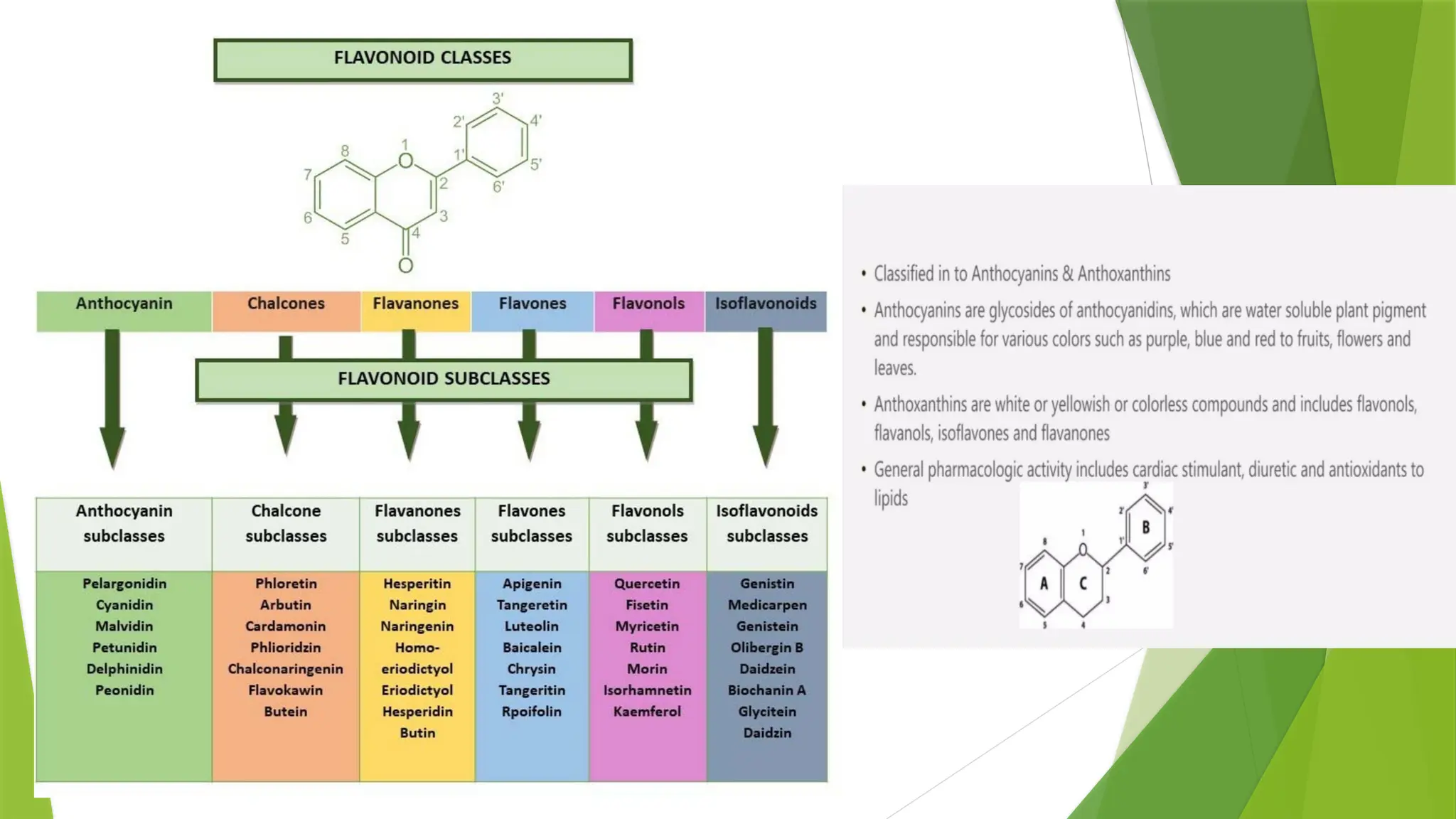Antioxidants, Flavonoids, Anthocyanins and their Biosynthesis.pptx