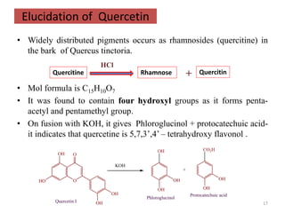 Flavonoids | PPTX
