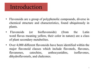 Flavonoids | PPTX