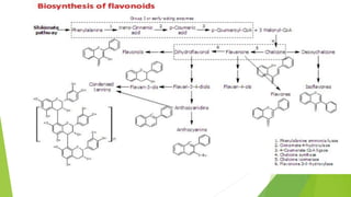 Flavonoids, lignan, quassinoids | PDF