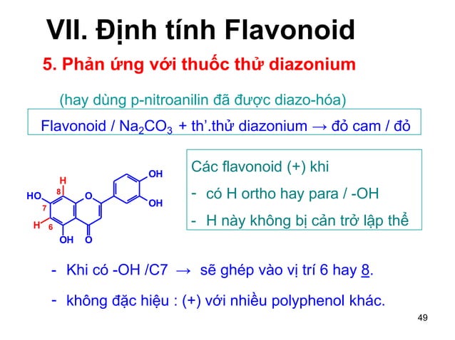 Flavonoid va duoc lieu chua flavonoid | PPT
