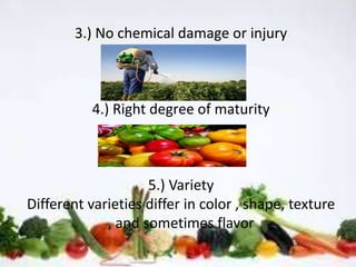 Flavor components | PPTX