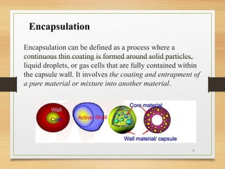 Flavor encapsulation assignment | PPTX