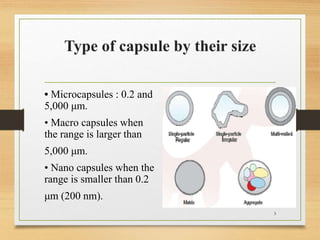 Flavor encapsulation assignment | PPTX