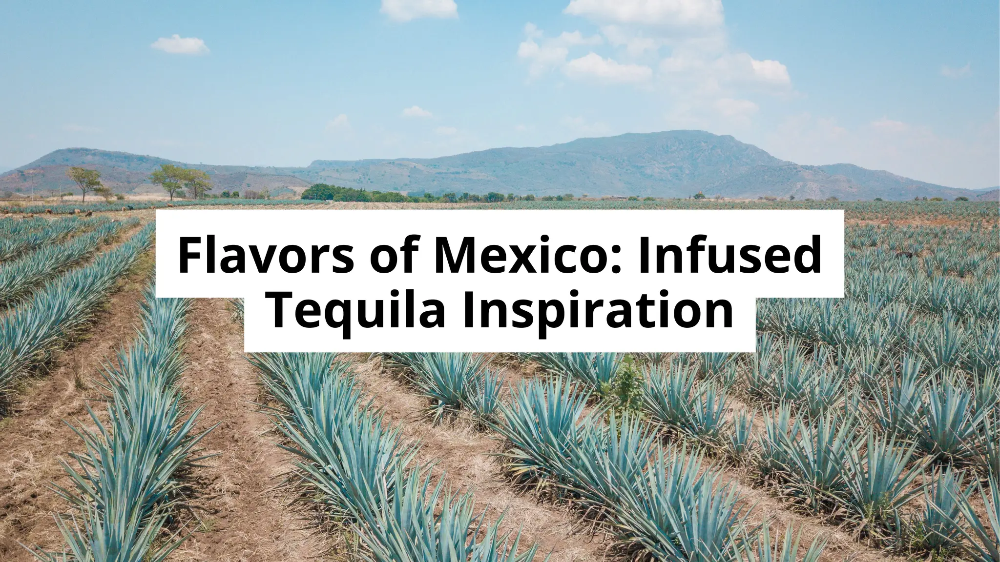 Flavors of Mexico Infused Tequila Inspiration. | PDF