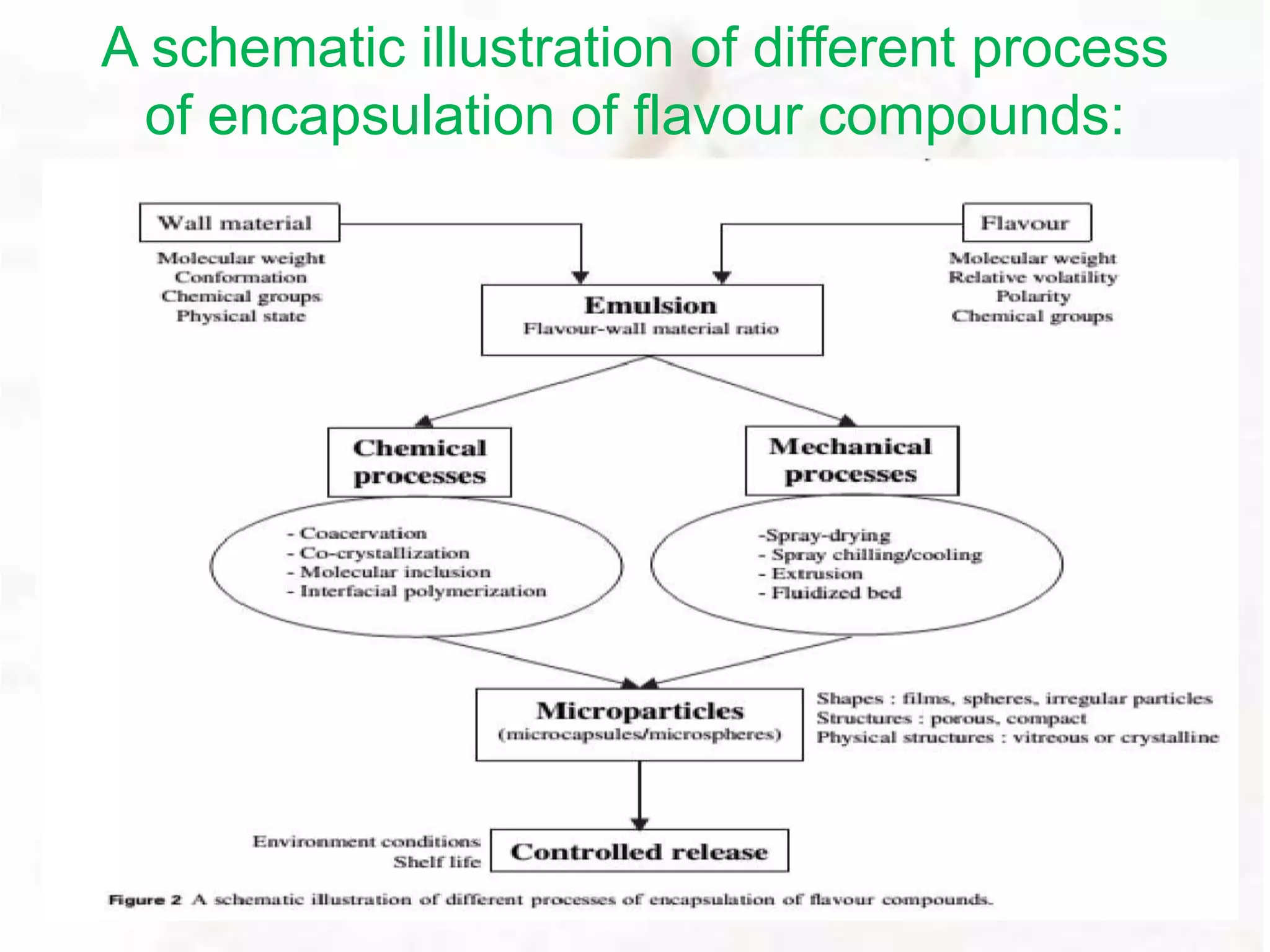 Flavour in food industries | PPTX