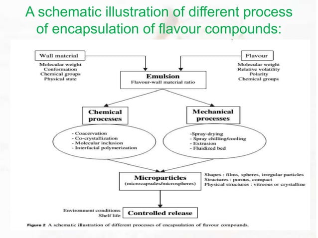 Flavour in food industries | PPTX | Chemistry | Science