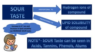 Pharmaceutical Flavors | PPTX