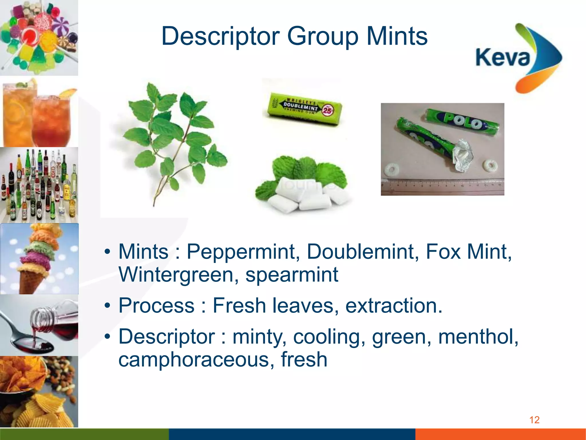 Flavour training PPT edited+1.pptx