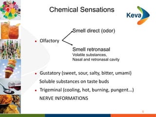 Flavour training PPT edited+1.pptx