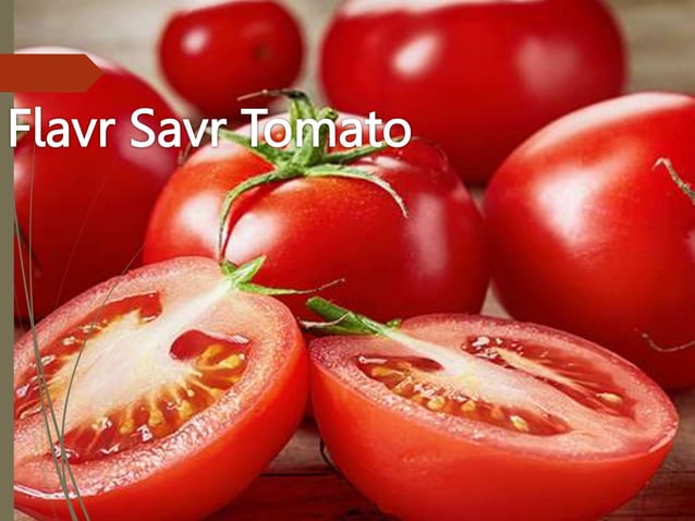 FLAVR SAVR tomato.pptx