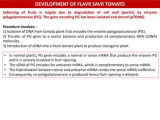 Flavr_savr,_golden_rice,_Bt_cotton,_Bt_brinjal,_round_up[1].pdf