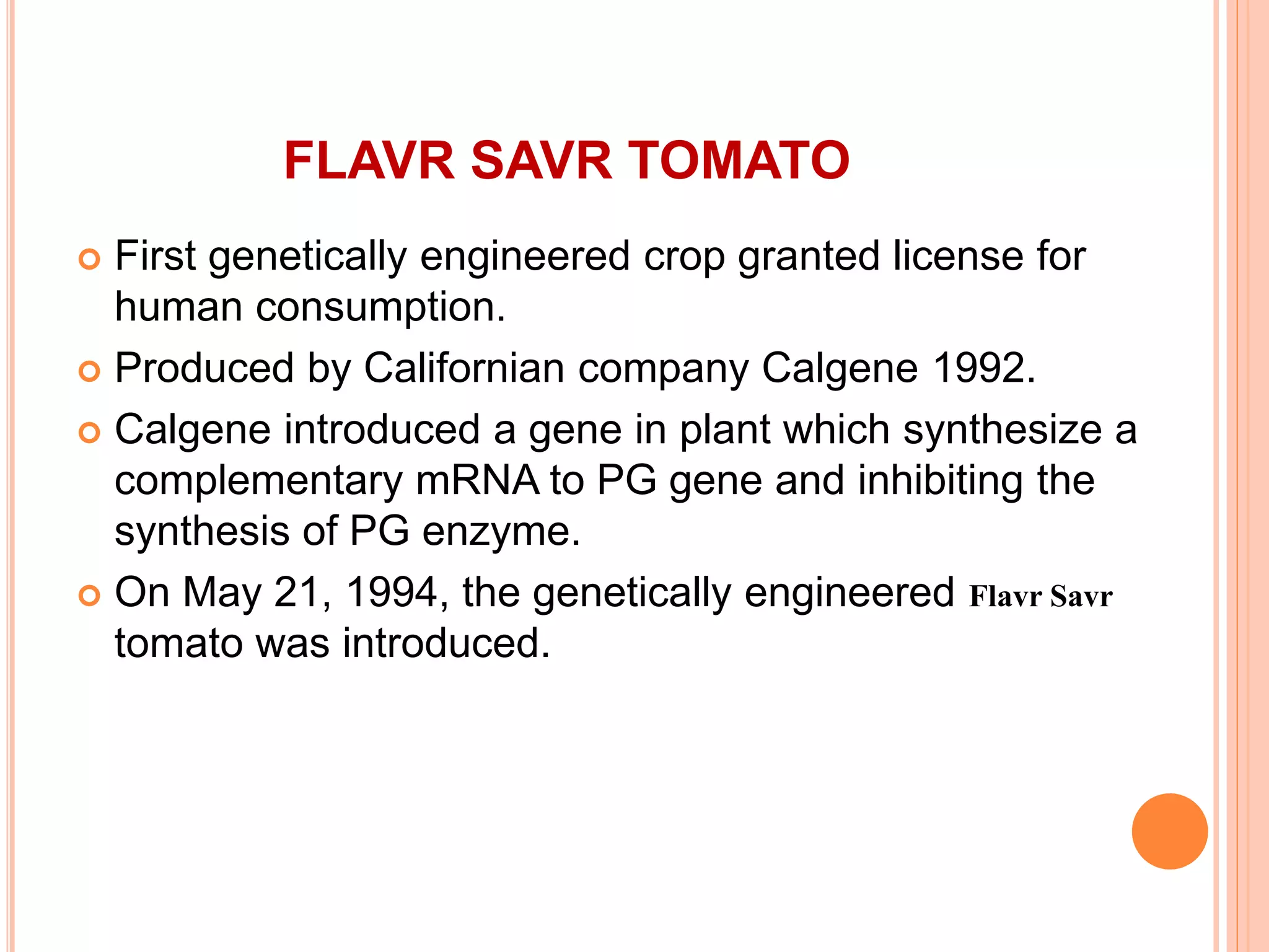 Flavr savr tomato.ppt