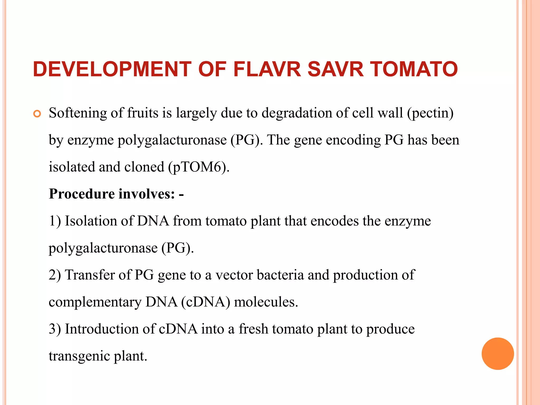 Flavr savr tomato.ppt