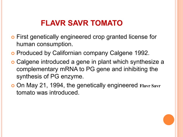 Flavr savr tomato.ppt | Gardening | Home & Garden