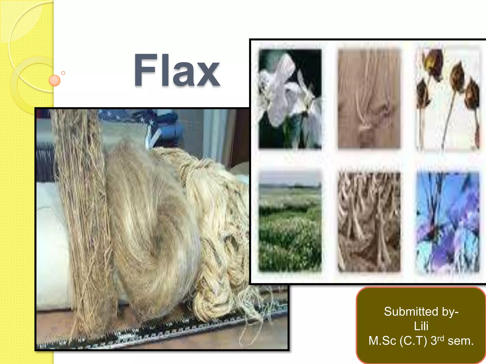 Flax fiber, manufacturing, physical and chemical properties.. | PPTX