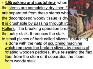 Flax fiber, manufacturing, physical and chemical properties.. | PPTX