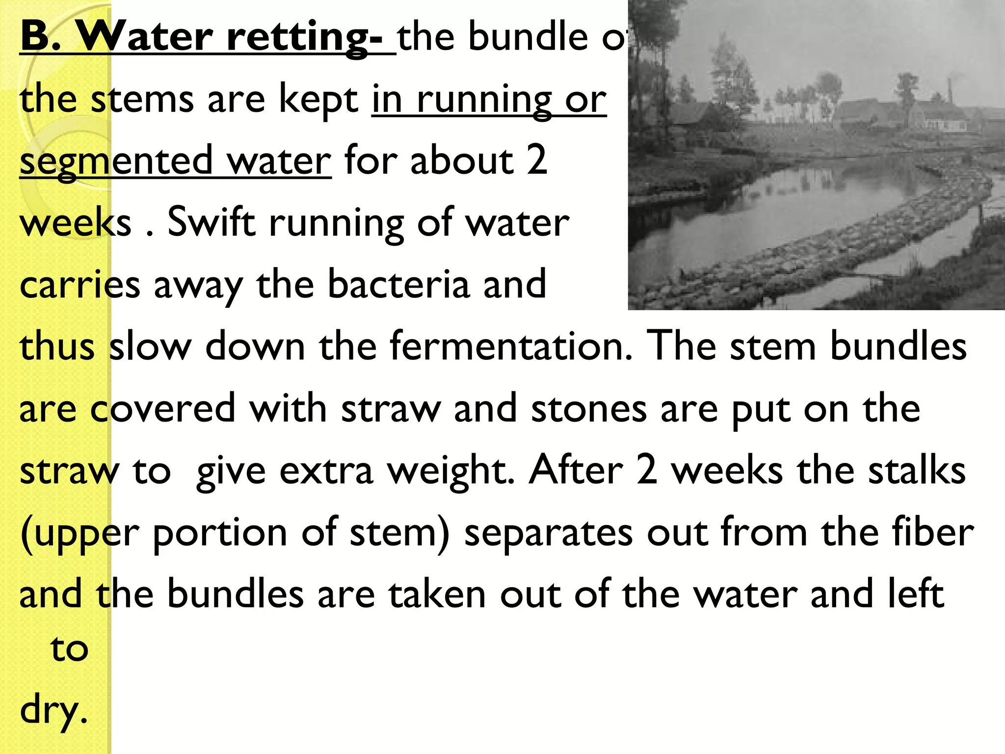 Flax fiber ppt | PPT