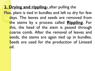 Flax fiber ppt | PPT