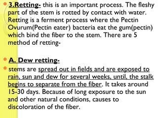 Flax fiber ppt | PPT