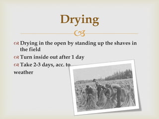 Flax fiber production | PPT