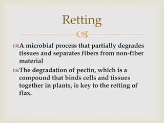 Flax fiber production | PPT