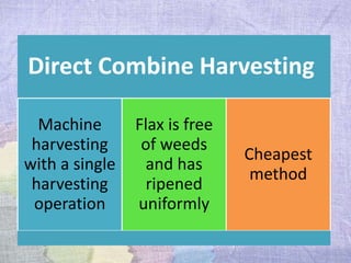 Flax | PPT