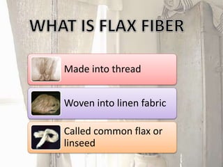 Flax | PPT