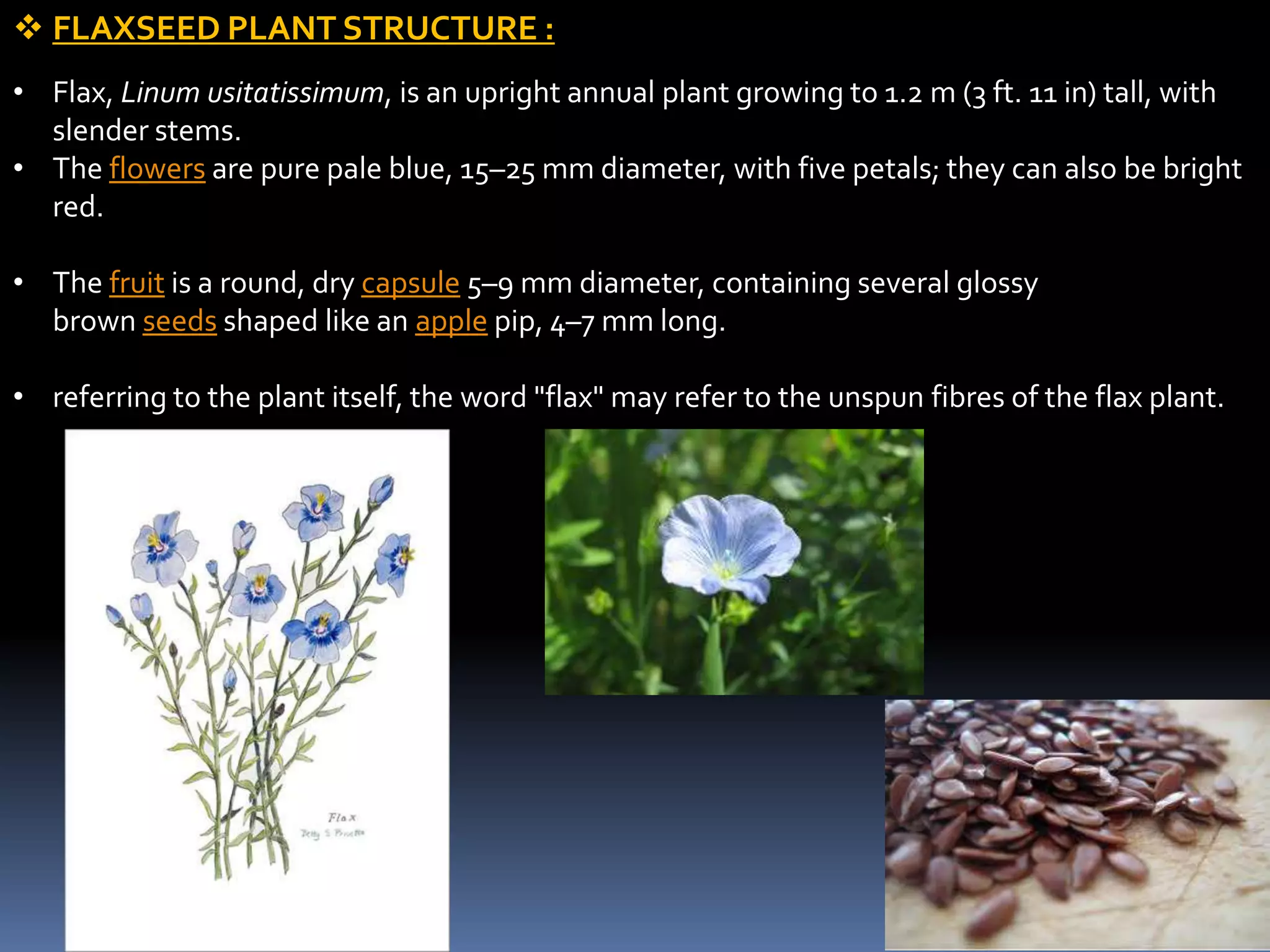 Flaxseeds | PPTX