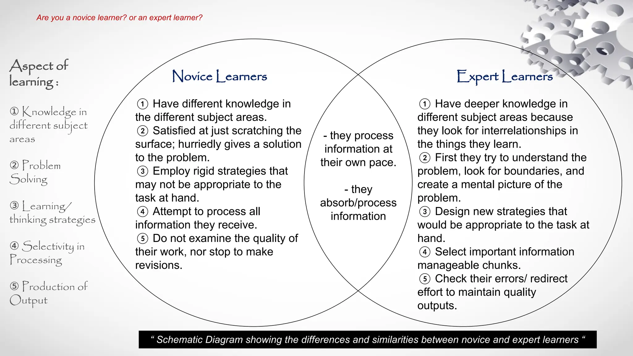 FLCT MetACognition and Development .pptx
