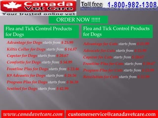 Flea and Tick Control for Dogs and Cats | PPTX