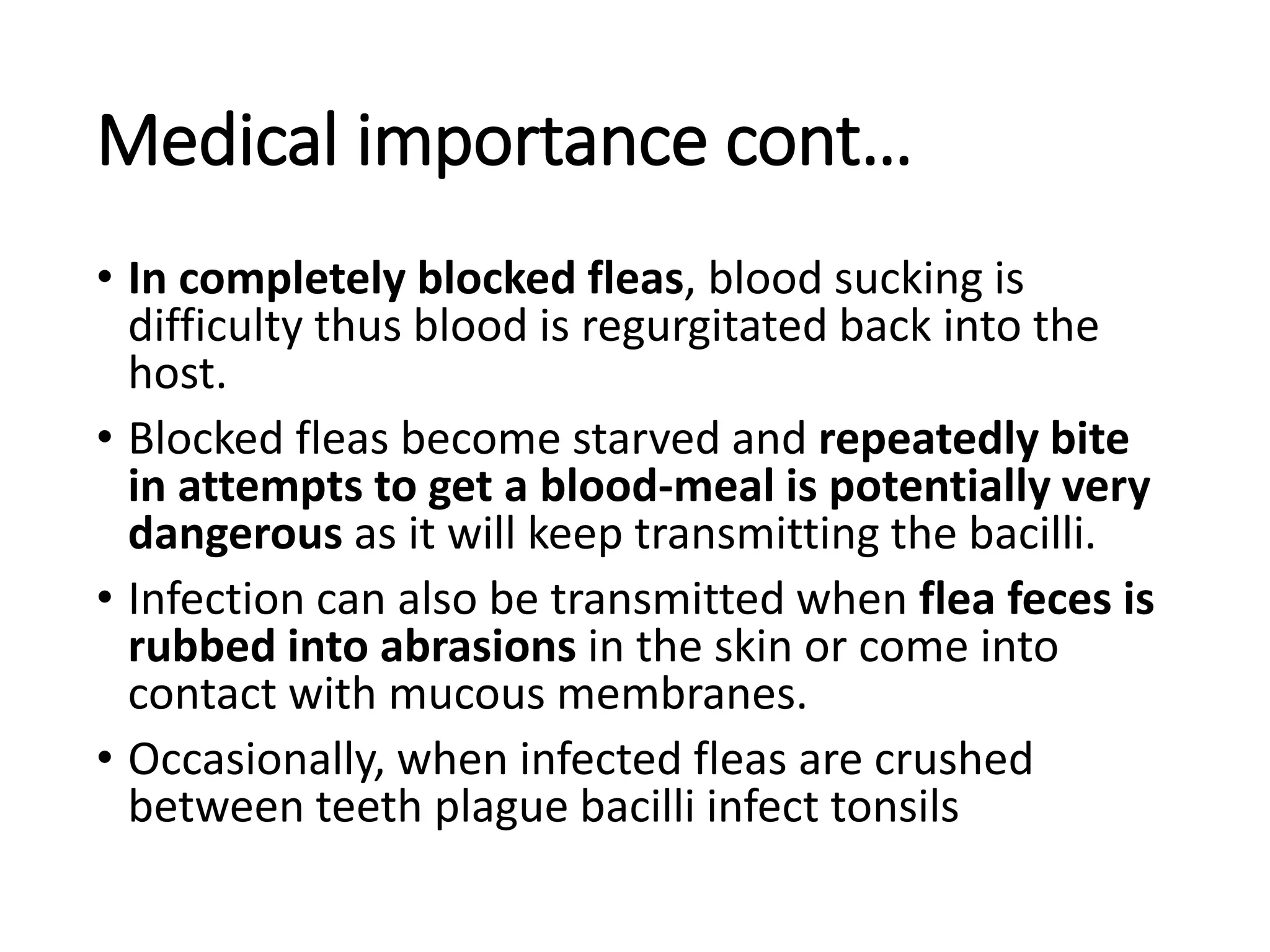 PRESENTATION ON FLEAS MORPHOLOGY, EPIDEMIOLOGY AND MEDICAL IMPORTANCE ...