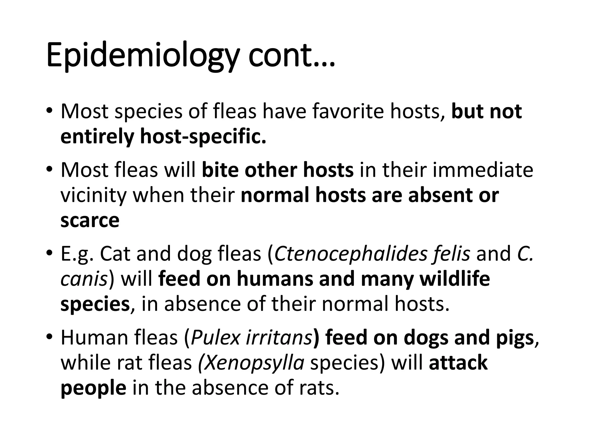 PRESENTATION ON FLEAS MORPHOLOGY, EPIDEMIOLOGY AND MEDICAL IMPORTANCE ...