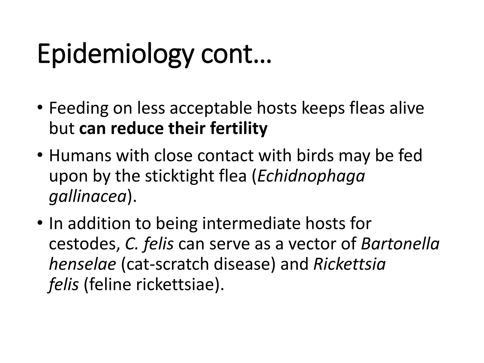 PRESENTATION ON FLEAS MORPHOLOGY, EPIDEMIOLOGY AND MEDICAL IMPORTANCE ...