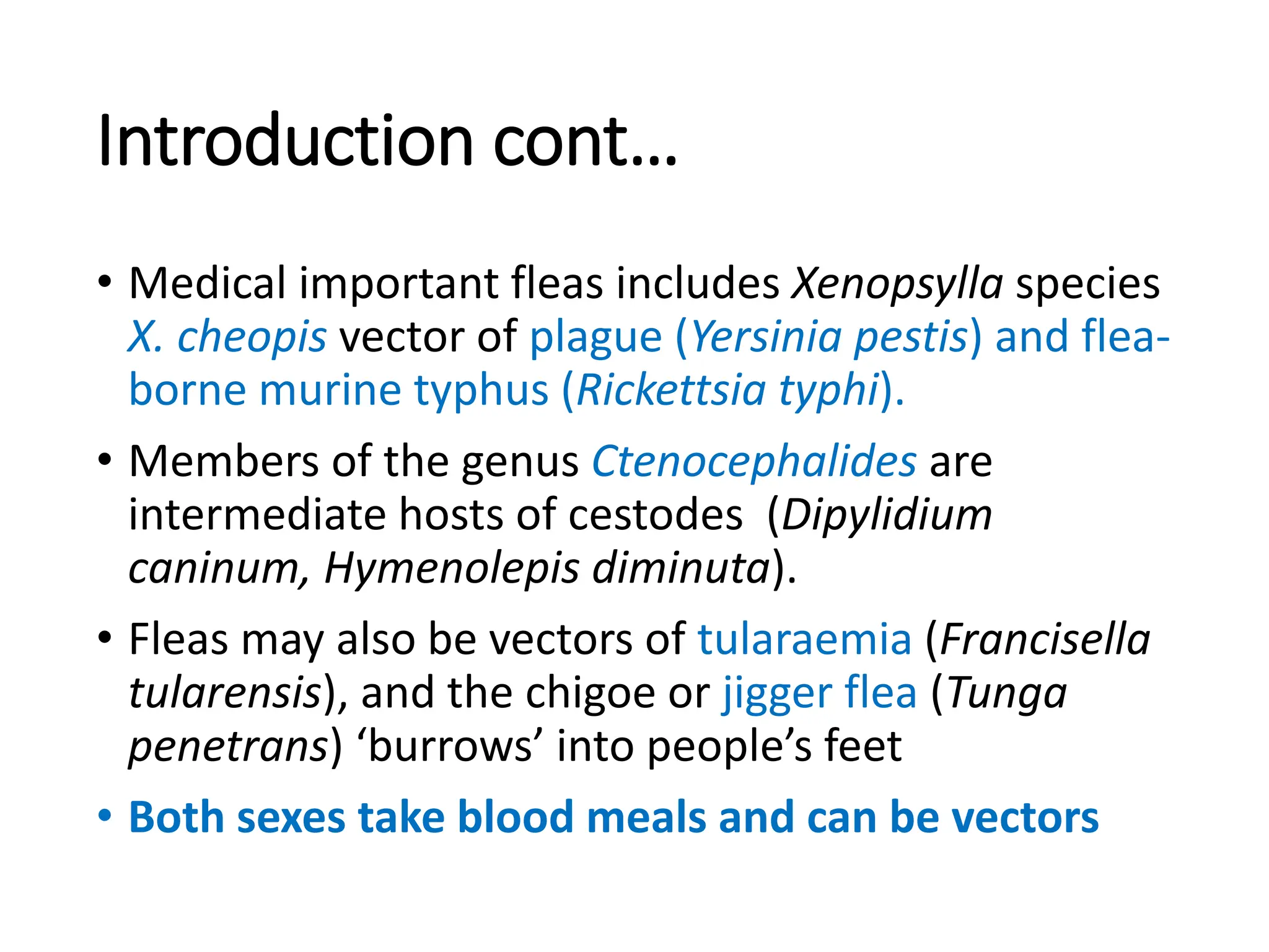PRESENTATION ON FLEAS MORPHOLOGY, EPIDEMIOLOGY AND MEDICAL IMPORTANCE ...