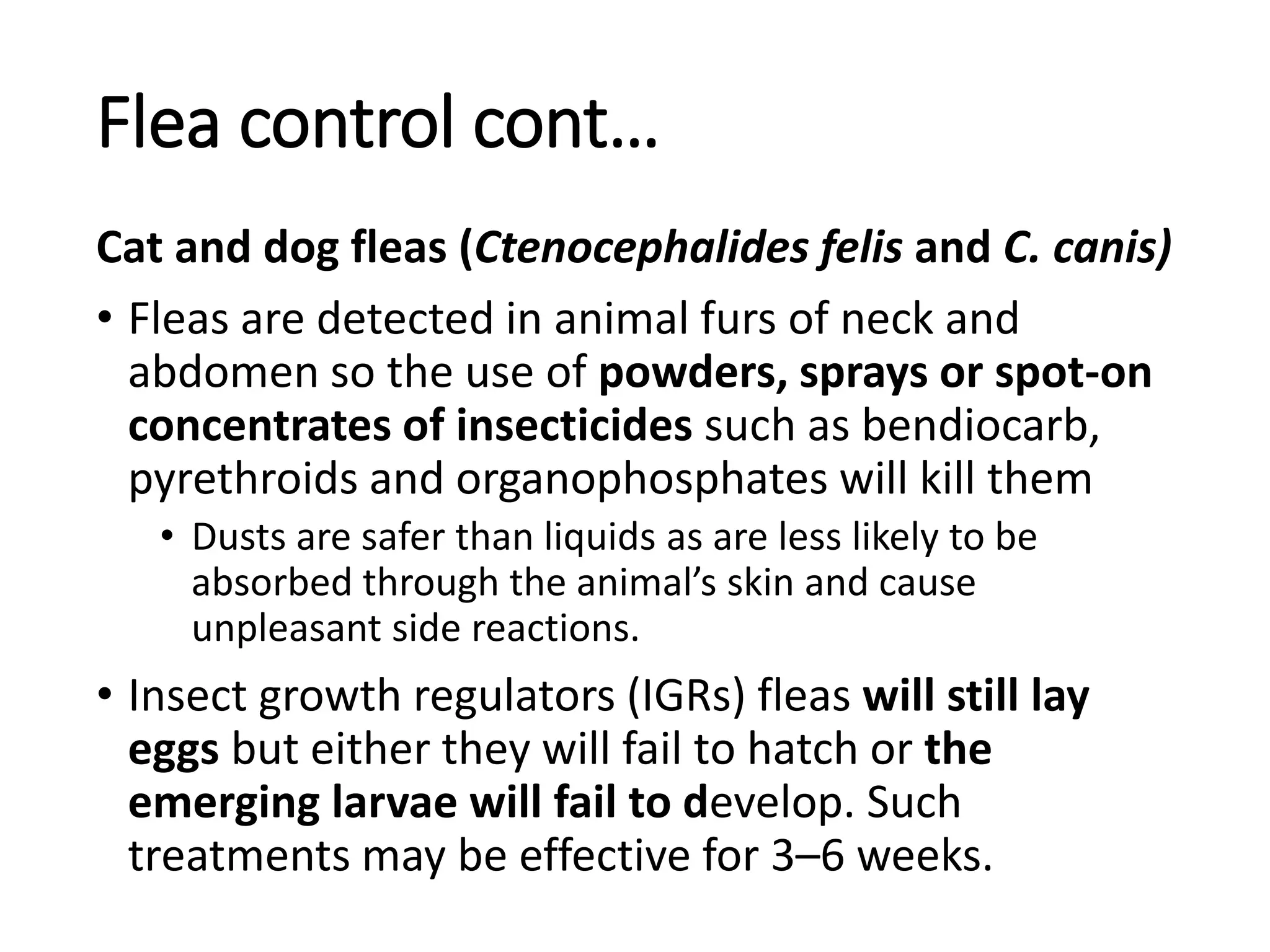 PRESENTATION ON FLEAS MORPHOLOGY, EPIDEMIOLOGY AND MEDICAL IMPORTANCE ...