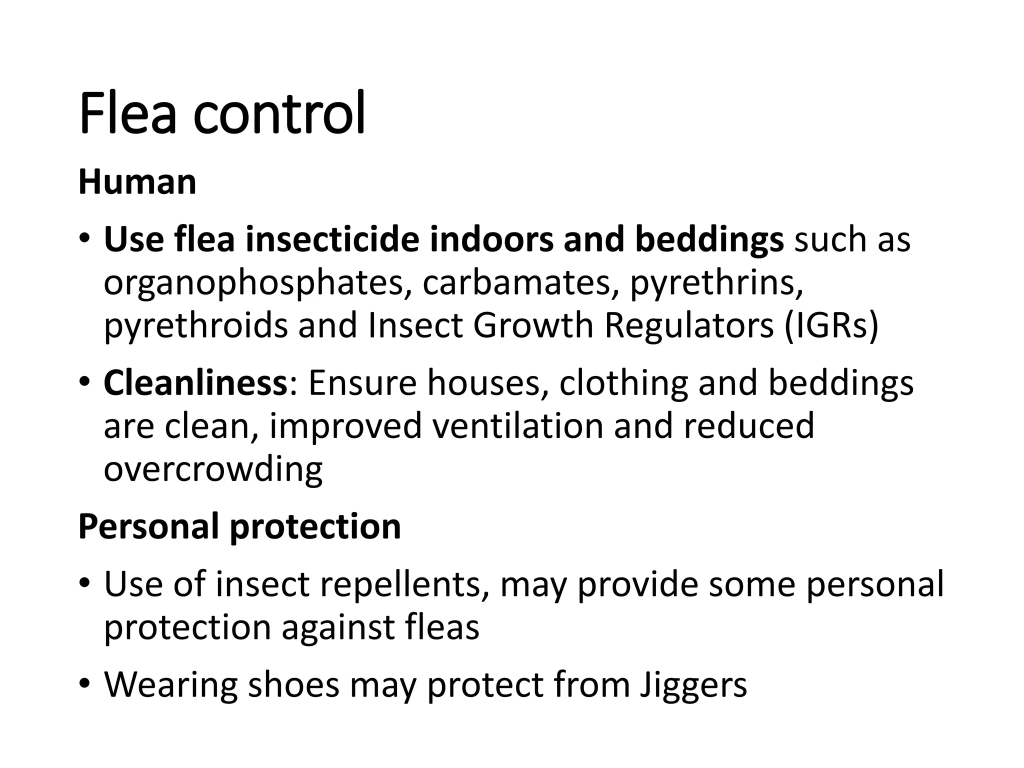 PRESENTATION ON FLEAS MORPHOLOGY, EPIDEMIOLOGY AND MEDICAL IMPORTANCE ...