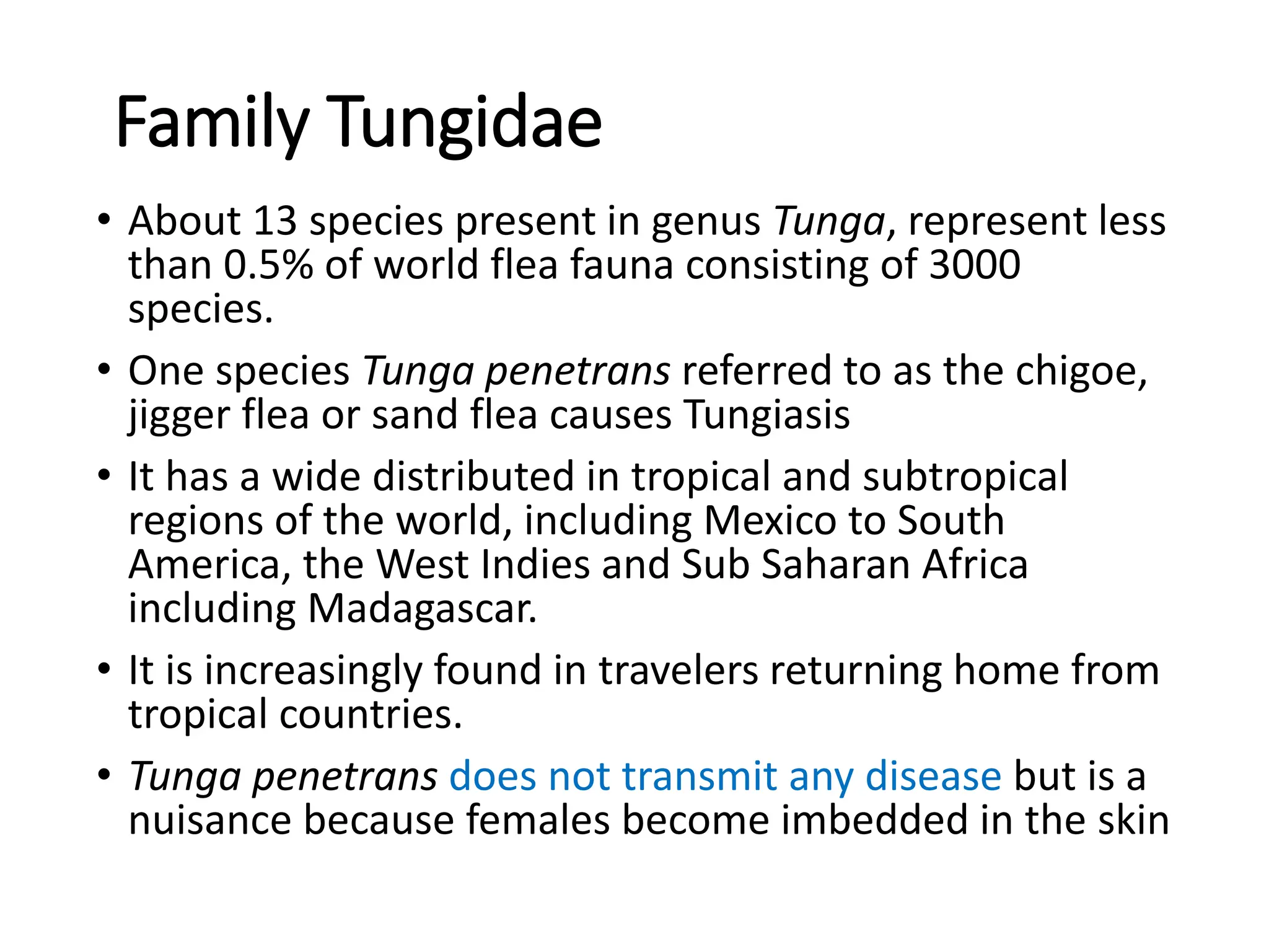 PRESENTATION ON FLEAS MORPHOLOGY, EPIDEMIOLOGY AND MEDICAL IMPORTANCE ...