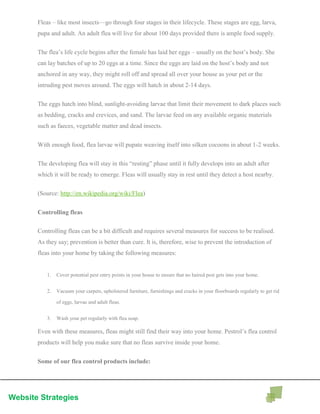 Fleas - Life Cycle and Control | PDF