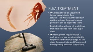 Fleas and Their Biology.pdf