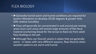 Fleas and Their Biology.pdf