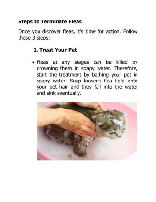 Fleas in Pets | PDF