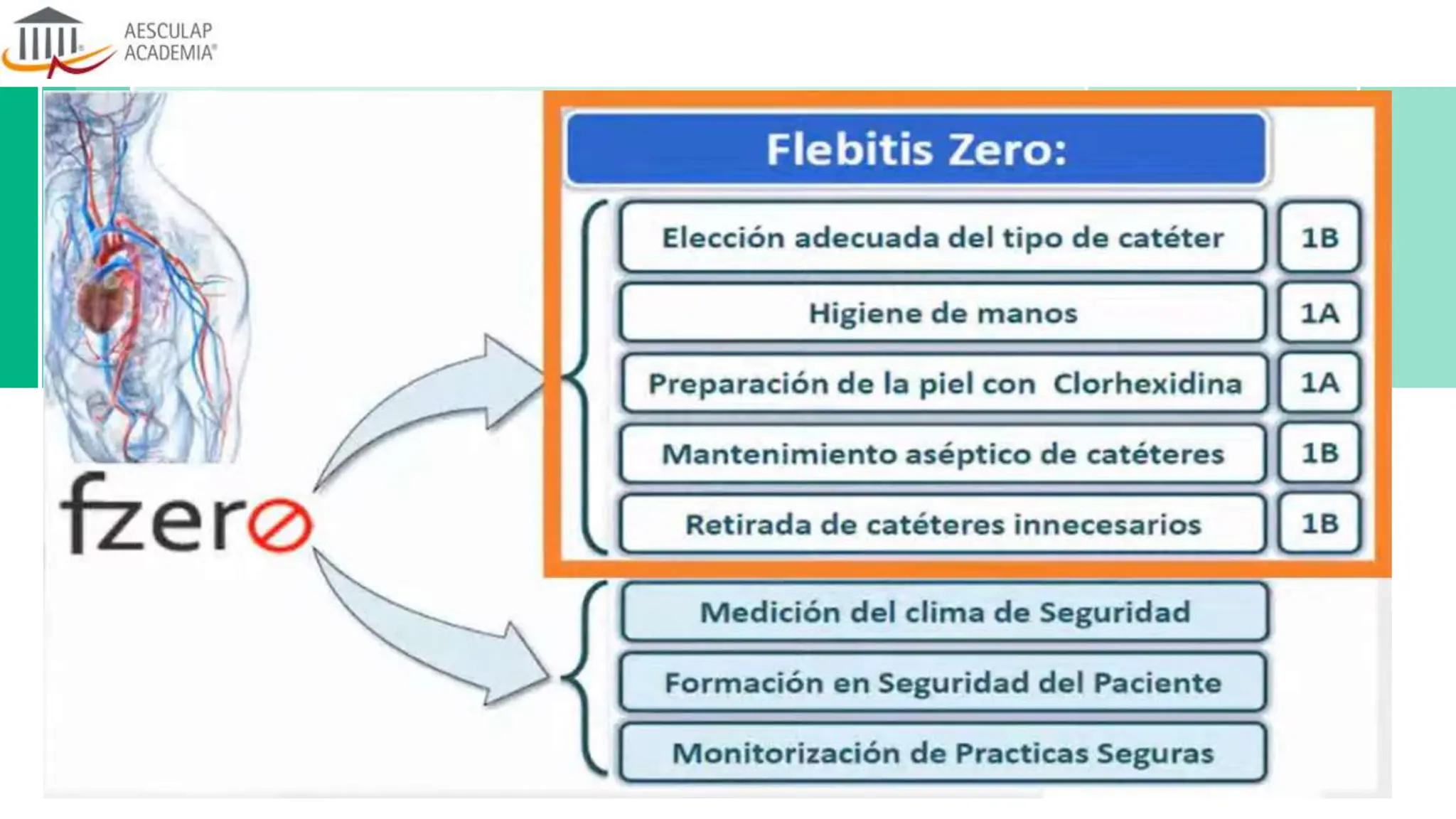 Flebitis QUIMICA, la seguridad en la terapia de infusion HOSPITAL Monte ...