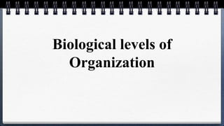 Sample power point presentation on fleeting classroom observation | PPT