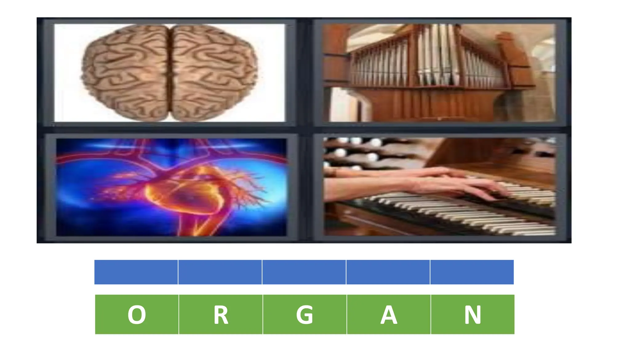 science grade 6-explain how the organs and organs system work | PPTX