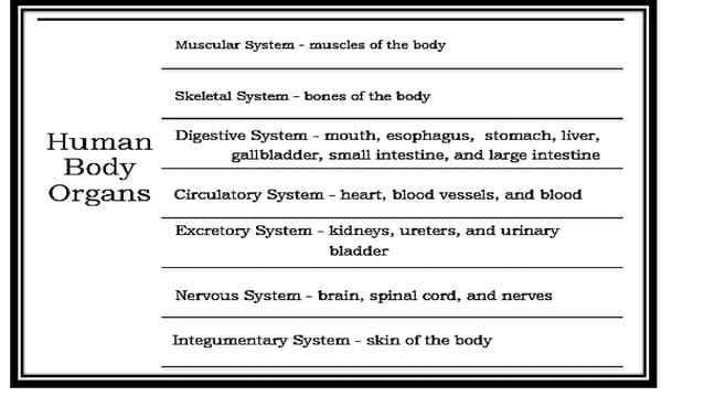 science grade 6-explain how the organs and organs system work | PPTX