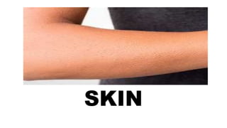 science grade 6-explain how the organs and organs system work | PPTX