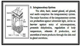 science grade 6-explain how the organs and organs system work | PPTX